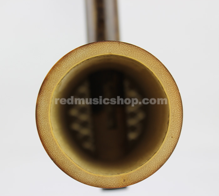 Professional Chinese Jinghu(Beijing Opera Fiddle), with Case - Red ...